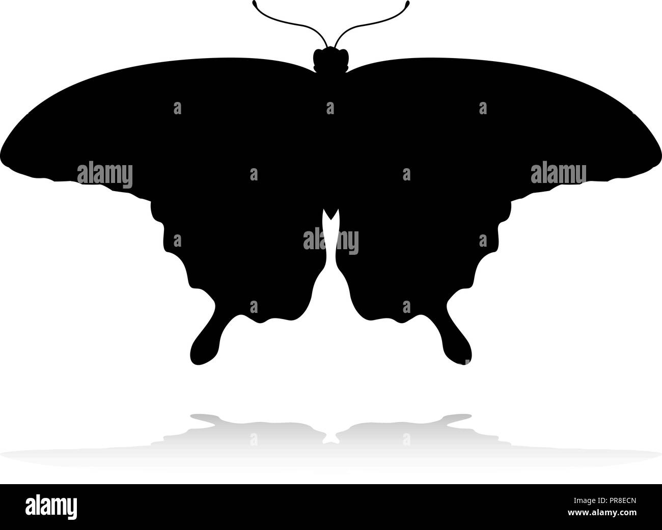 Butterfly insect animal logo Stock Vector Images - Alamy
