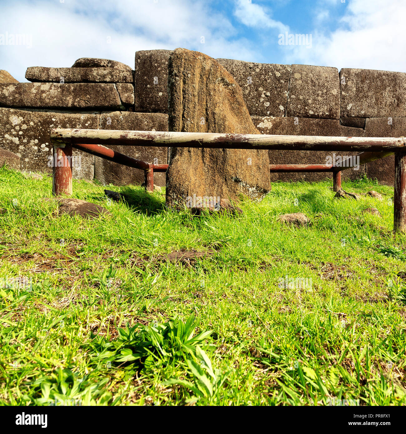 in chile rapa nui the antique and mysteriuos muai statue symbol of an ...