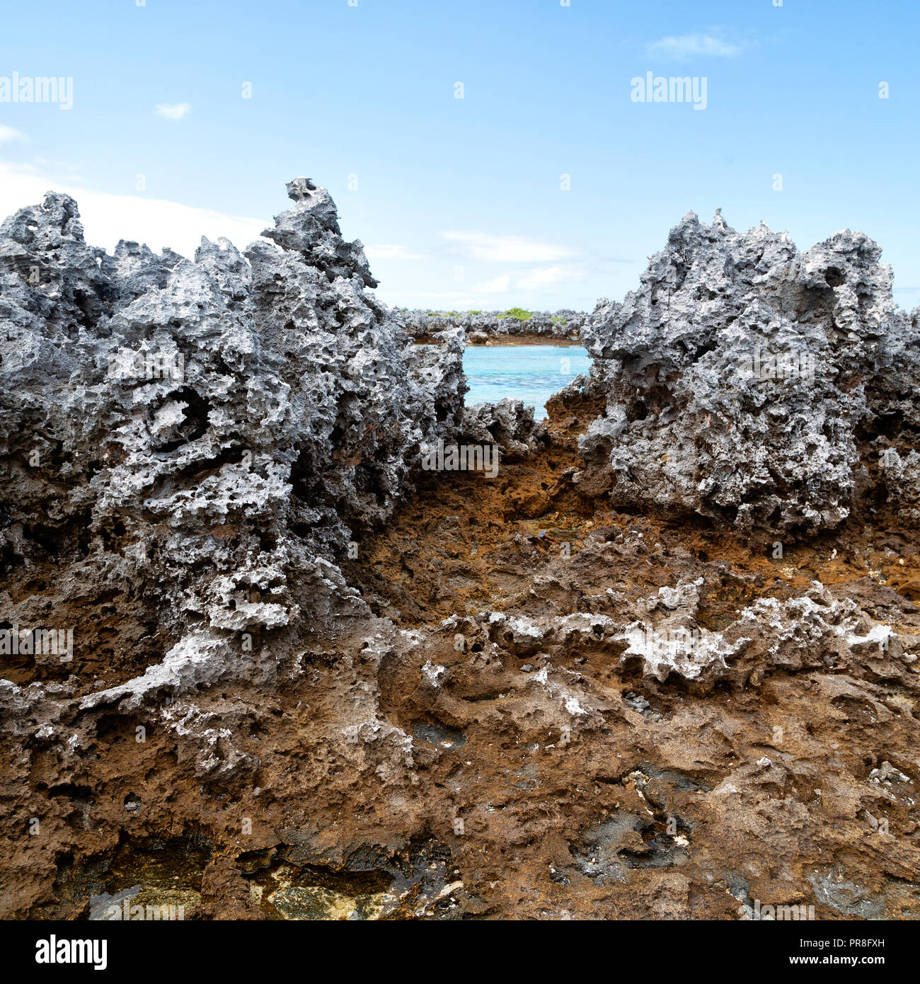 in polynesia the rocks of the coastline like paradise concept and relax ...