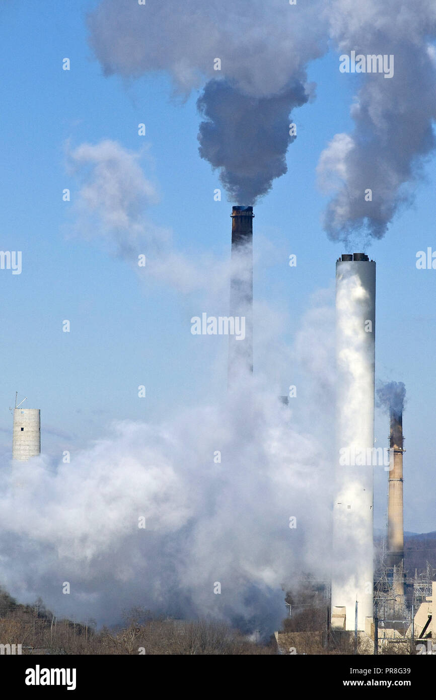 Murant hi-res stock photography and images - Alamy