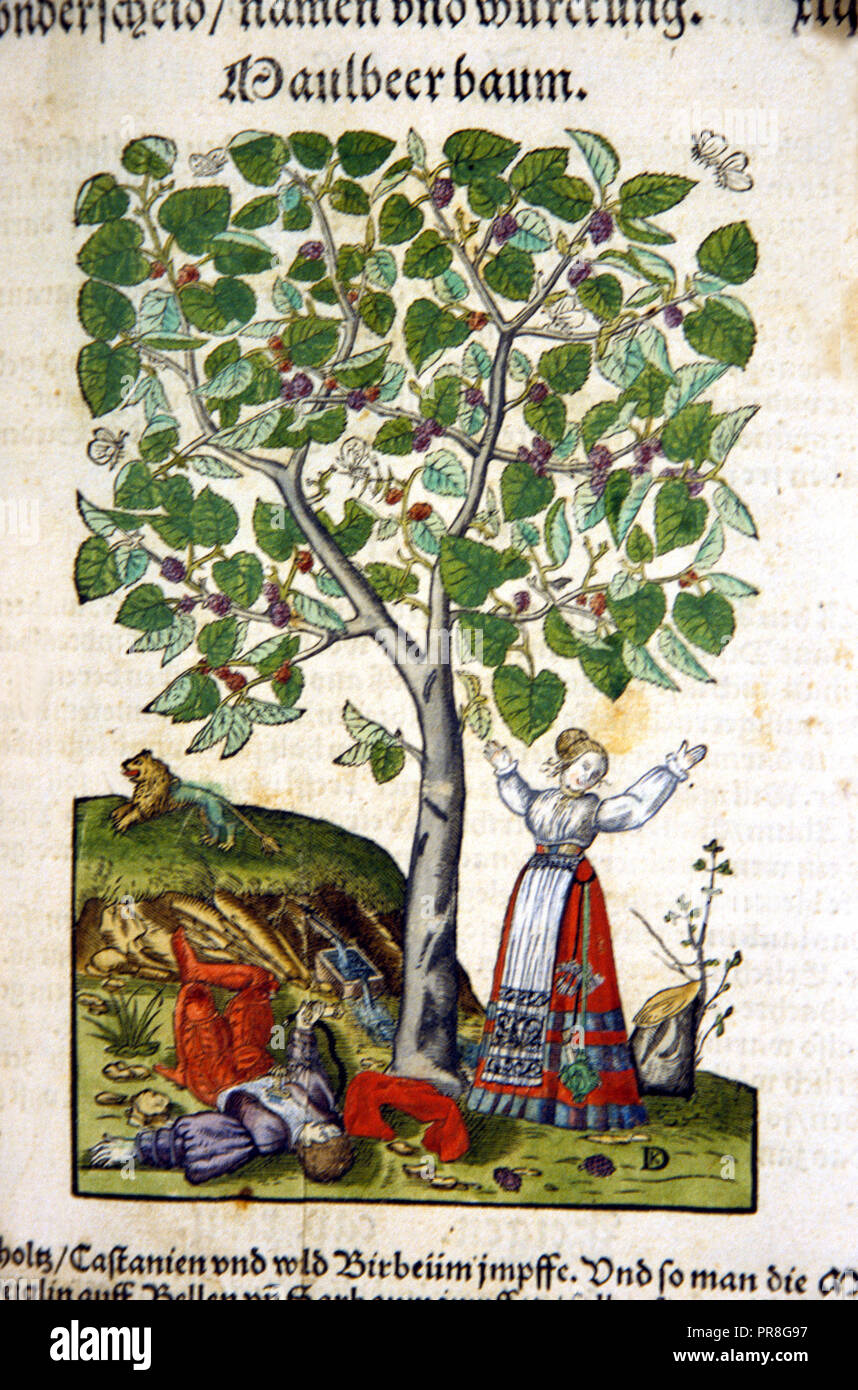 Illustration of a scene from the Pyramus and Thisbe myth as described ...