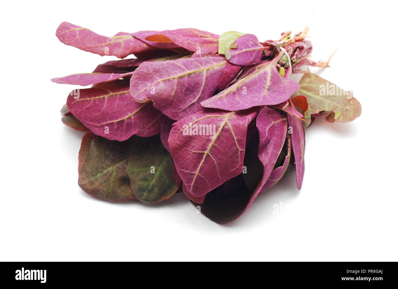 Orach isolated hi-res stock photography and images - Alamy