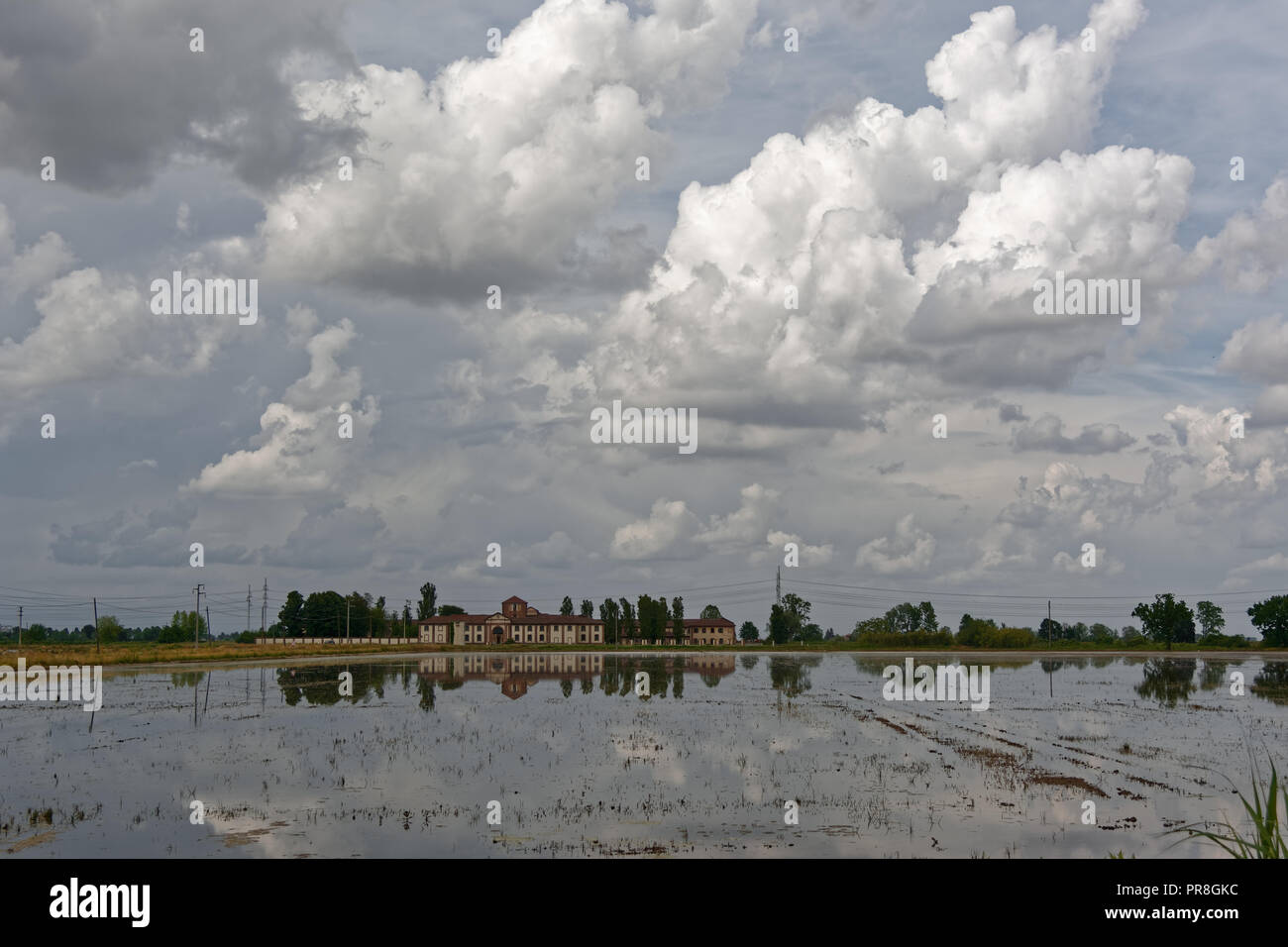 Rice paddy italy hi-res stock photography and images - Alamy
