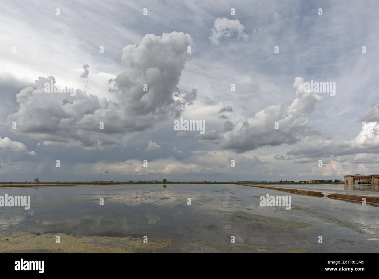 Edge of rice field hi-res stock photography and images - Alamy