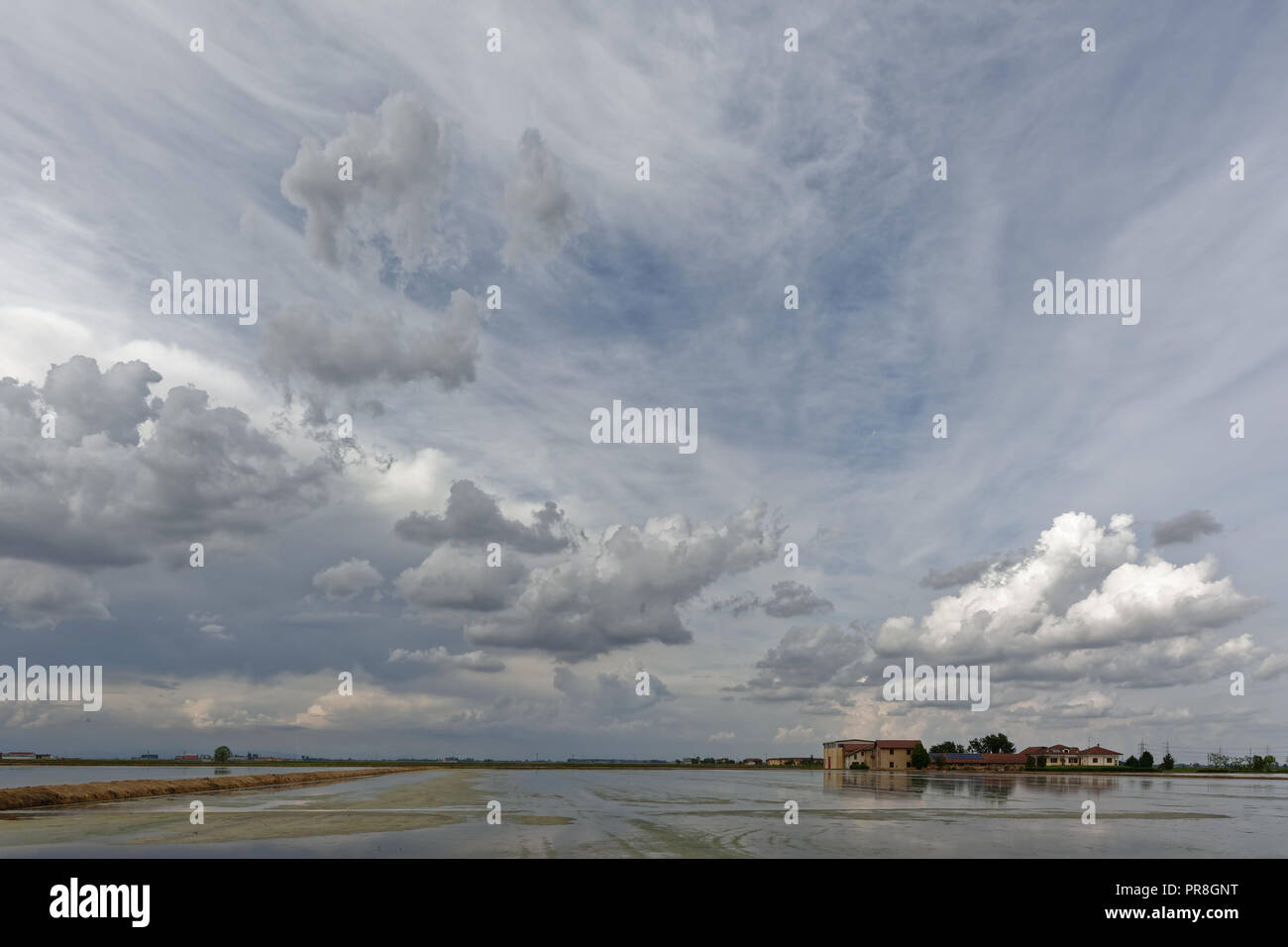 Rice paddy italy hi-res stock photography and images - Alamy