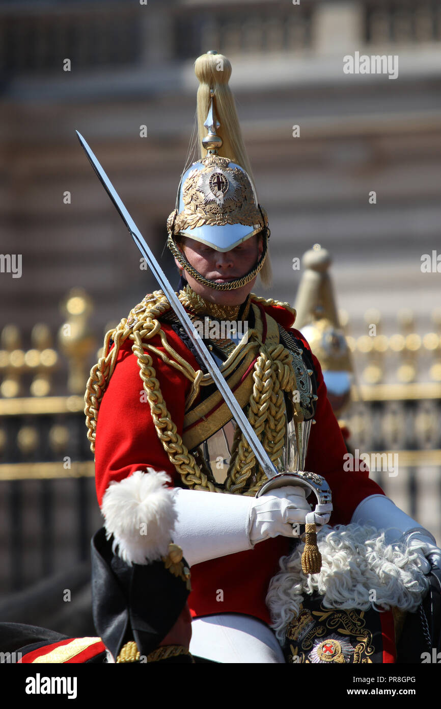 The Lifeguards Household Cavalry regiment during the 2017 Trooping the ...