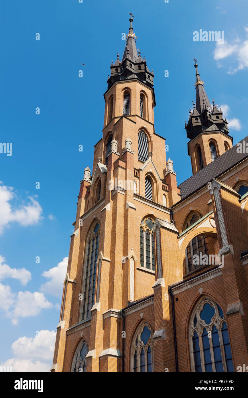Cathedral of the Protection of the Blessed Virgin Mary in Radom. Radom ...