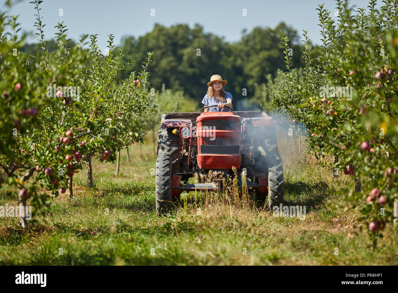 Tractor Trailer Apples High Resolution Stock Photography and Images - Alamy