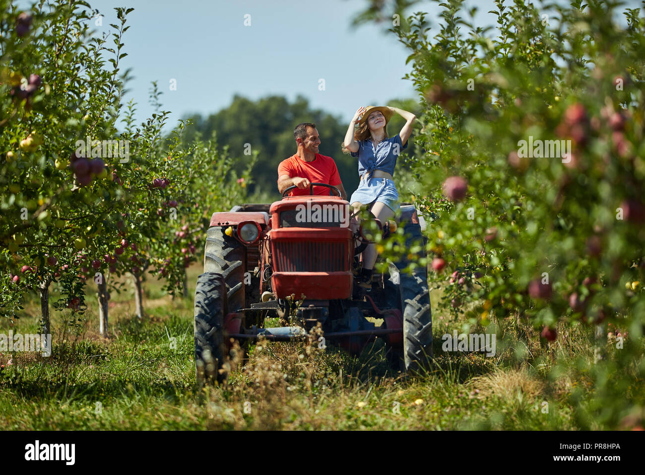Tractor Trailer Apples High Resolution Stock Photography and Images - Alamy