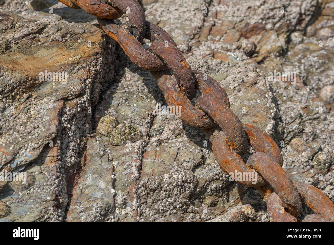 Mooring Chain Rotting High Resolution Stock Photography and Images - Alamy