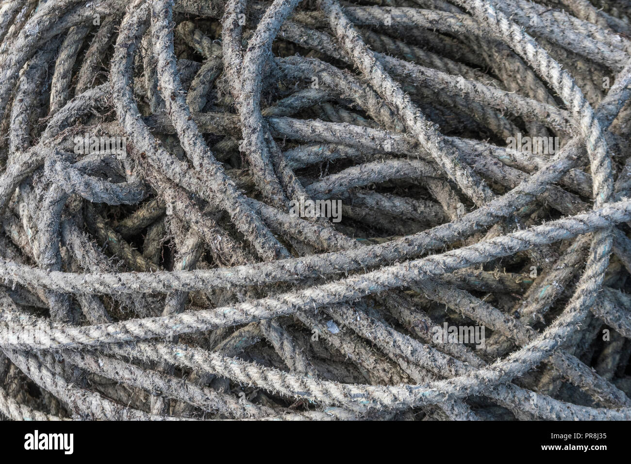 Harbour scenes around Newquay, Cornwall. Coiled commercial marine rope ...