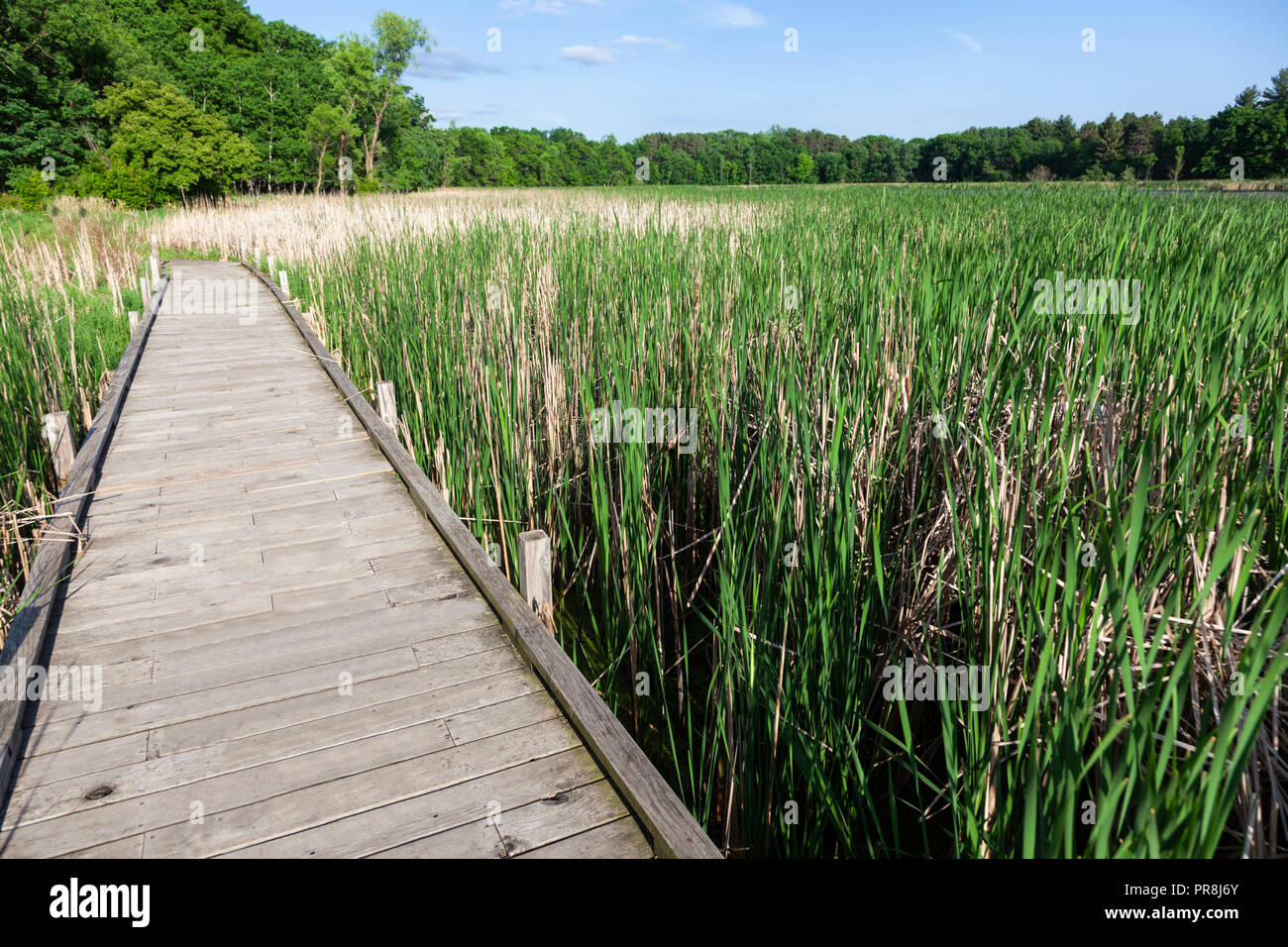 Lake Elmo Park Reserve in Woodbury - St. Paul area. St. Paul, Minnesota ...