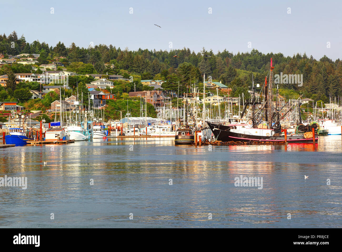 The Port of Newport, Oregon Stock Photo - Alamy
