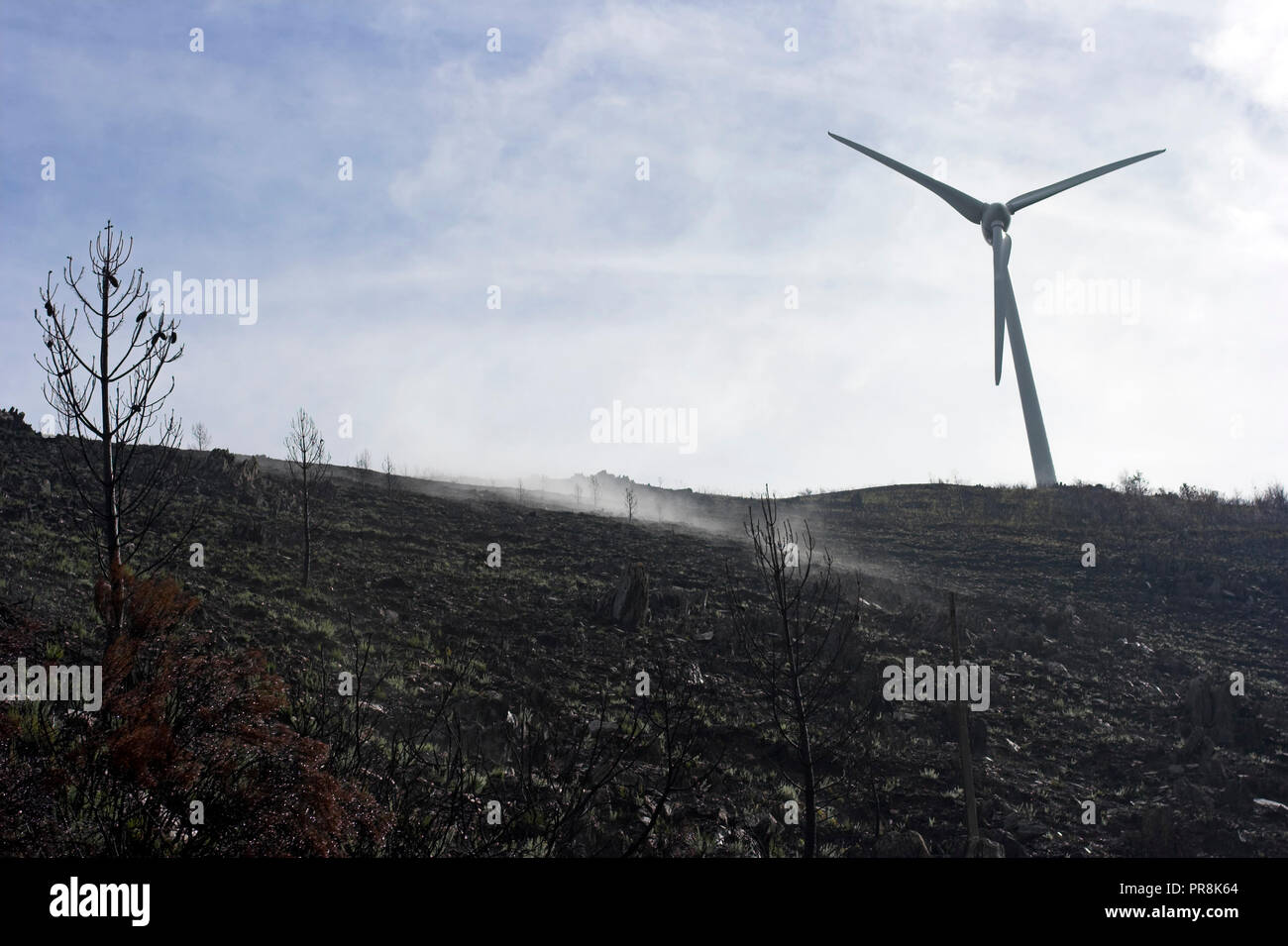 Aeolic in the top of a mountain in a winter foggy day Stock Photo - Alamy