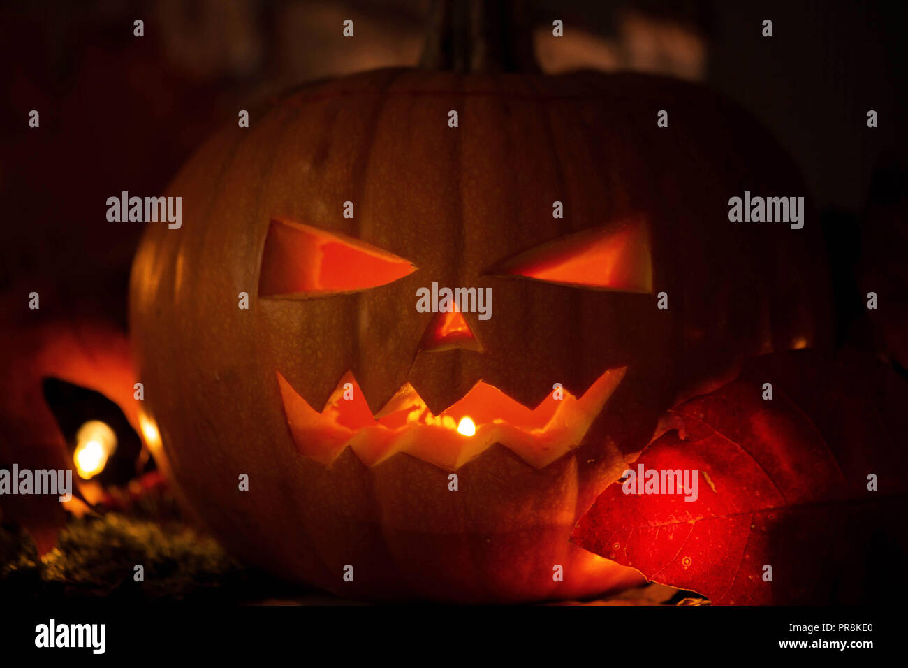 Halloween Pumpkins On Wood In A Spooky Forest At Night, with scary ...