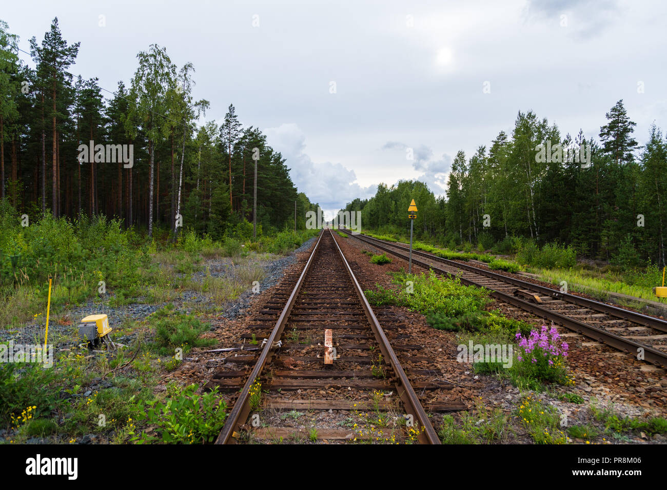 Empty parallel railroad tracks running through the forest leading to the City of Hanko in ...