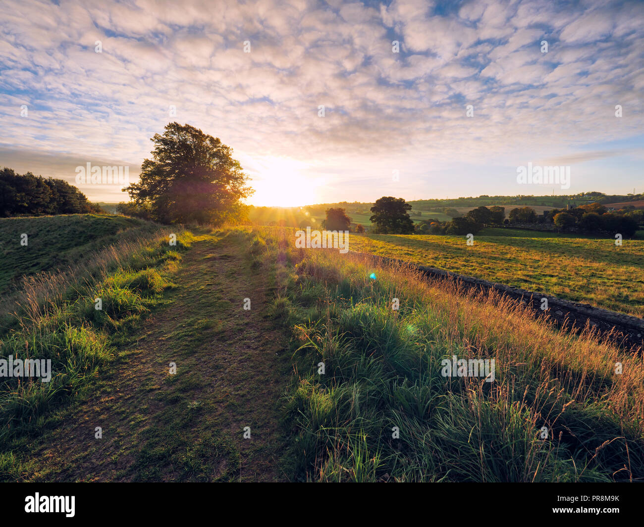 Early Autumn countryside morning,Northern Ireland Stock Photo - Alamy