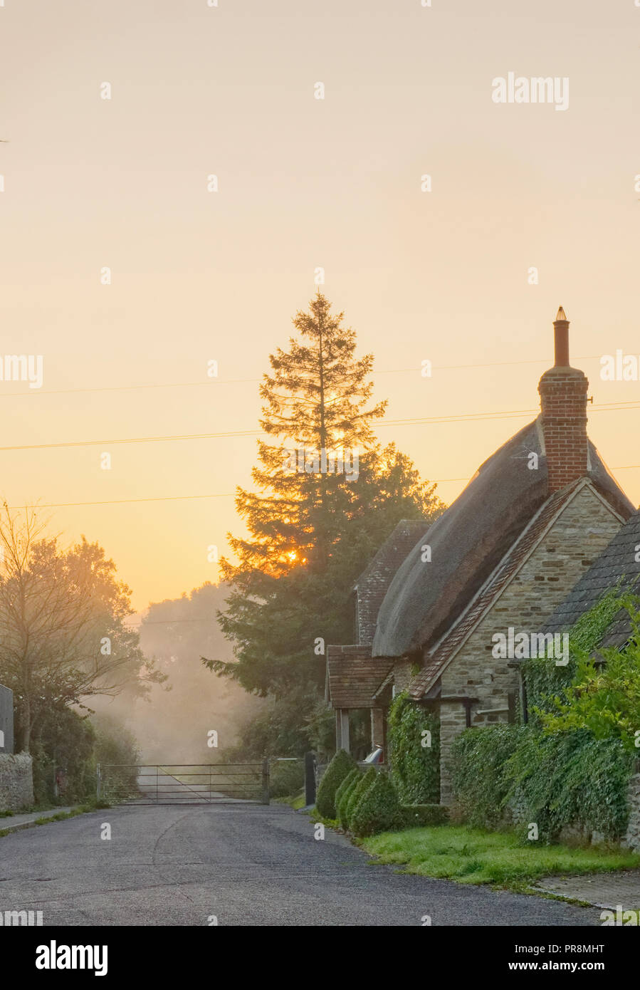 Misty morning, Fyfield, Oxfordshire Stock Photo - Alamy