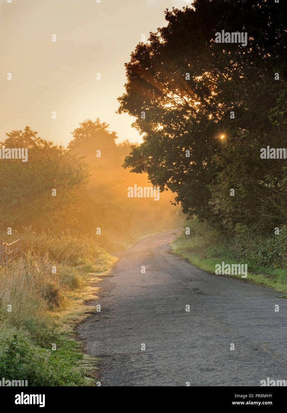 Fyfield and tubney hi-res stock photography and images - Alamy