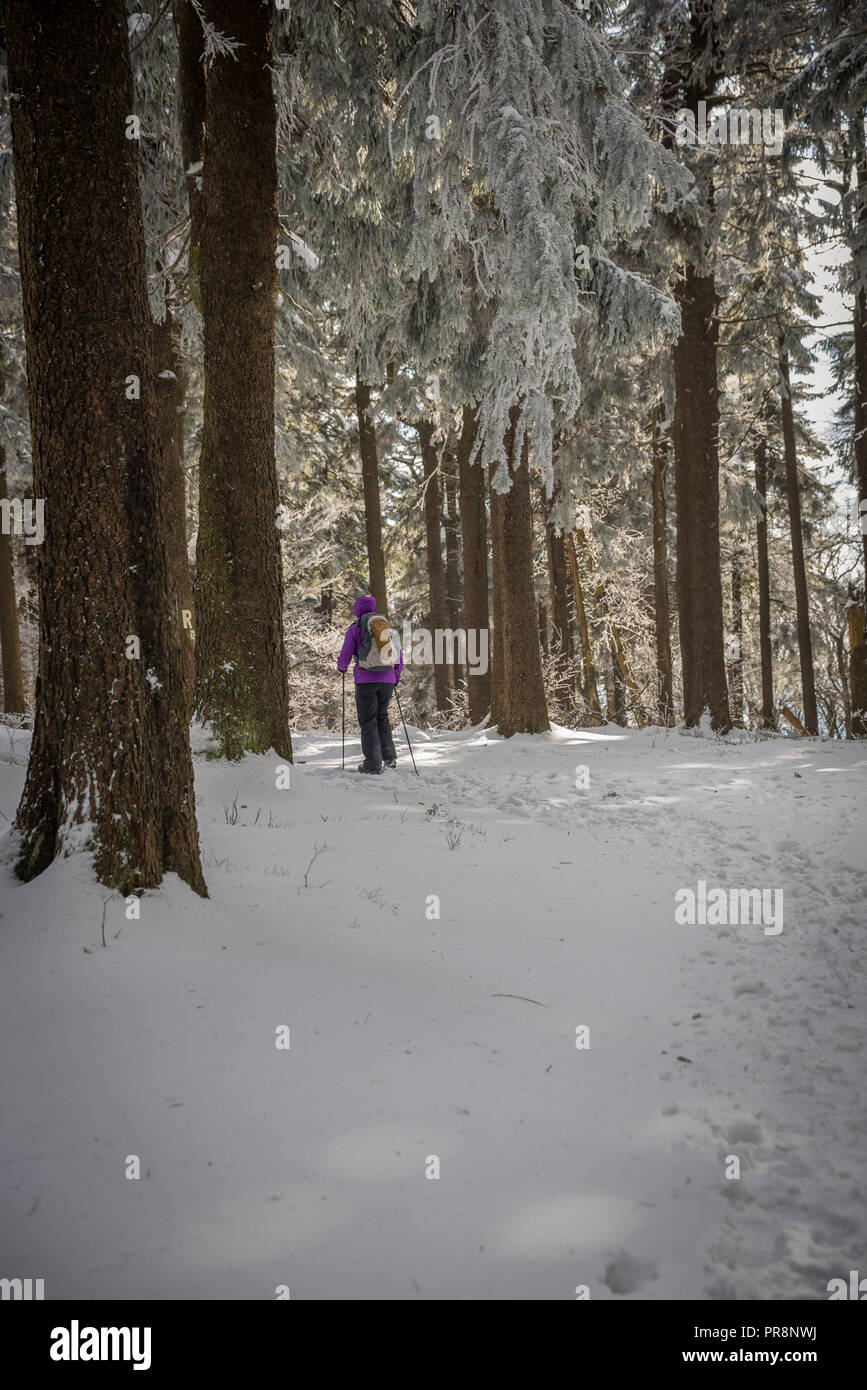 Winterwanderung hi-res stock photography and images - Alamy