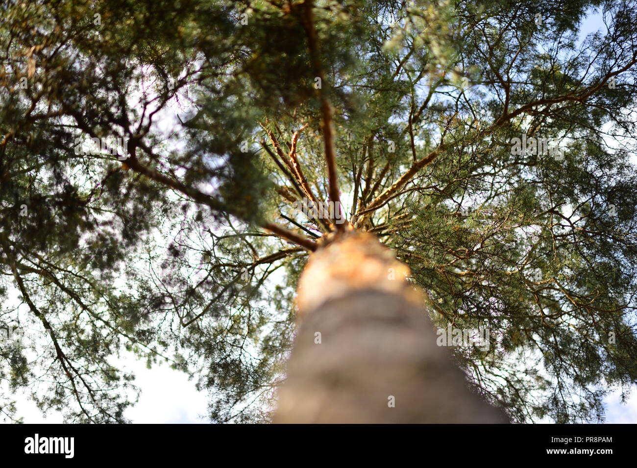 Climate color hi-res stock photography and images - Alamy