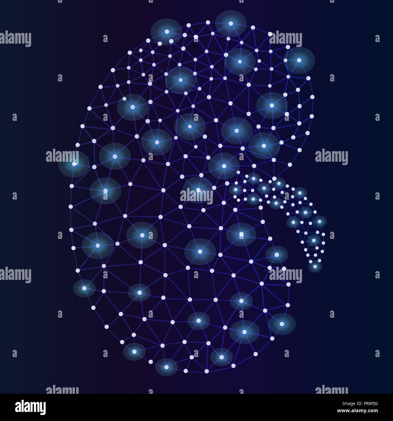 Abstract kidney. Anatomy of the vector kidney. Blurred kidney ...