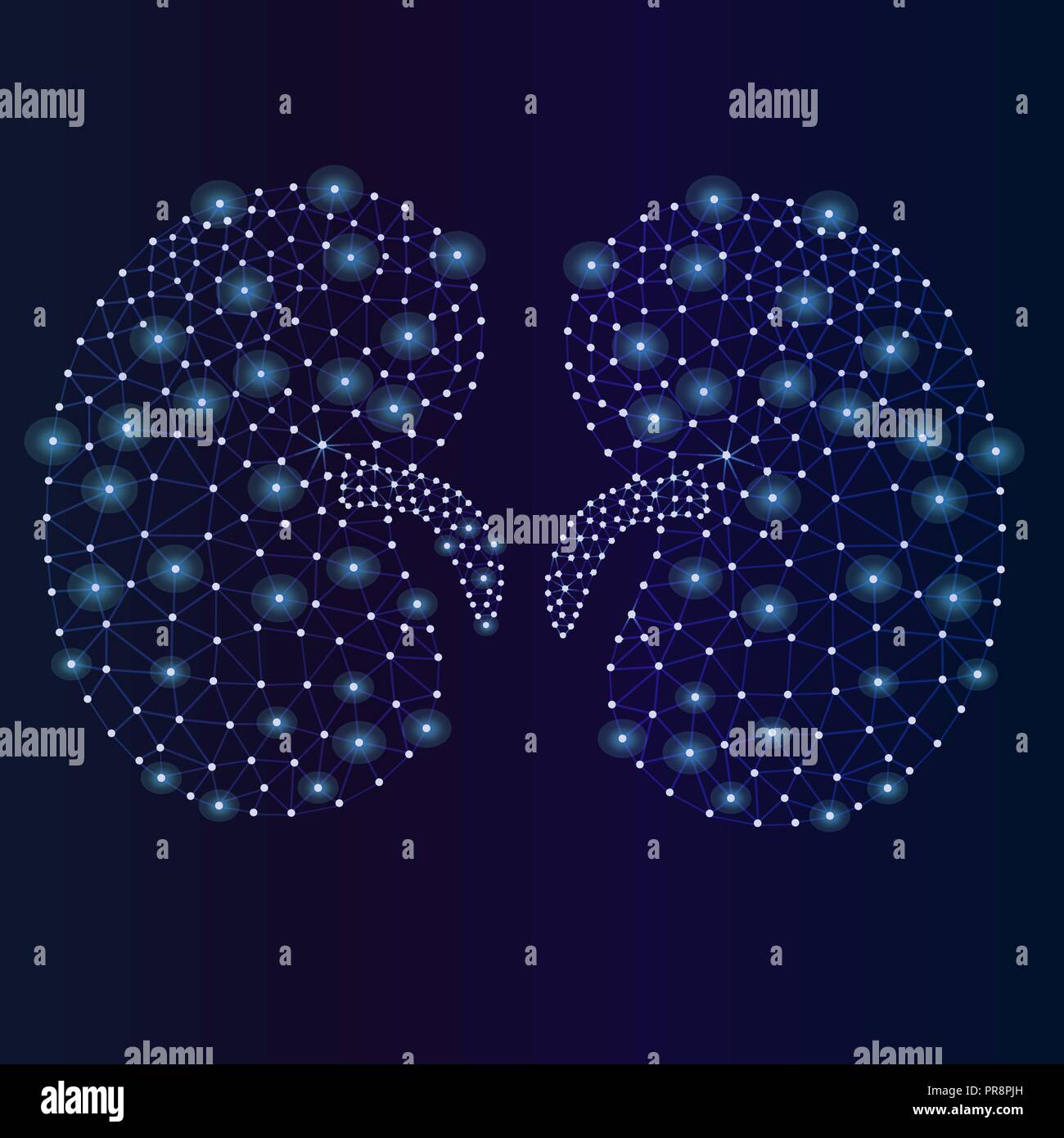 Abstract kidney. Anatomy of the vector kidney. Blurred kidney ...