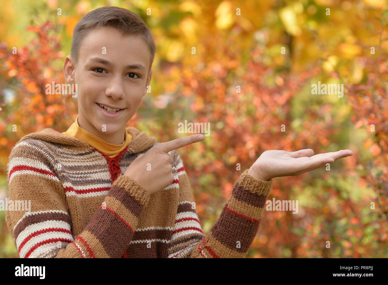 smiling boy pointing to the right in autumnal park Stock Photo - Alamy