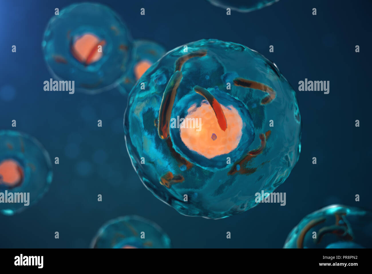 3D illustration cell of a living organism, scientific concept ...