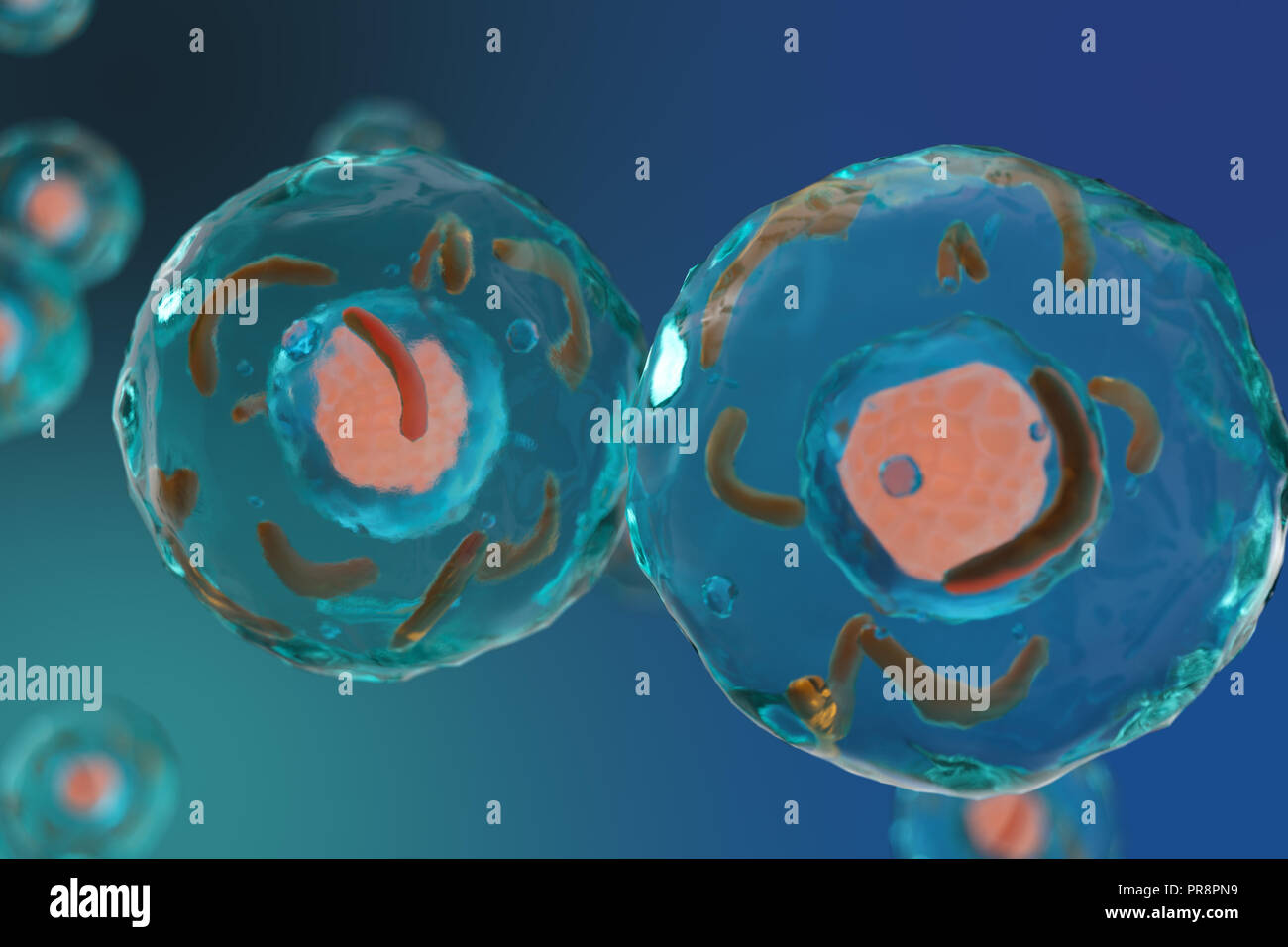 3D illustration cell of a living organism, scientific concept ...