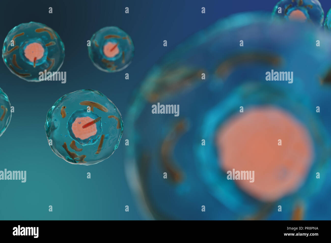 3D illustration cell of a living organism, scientific concept ...