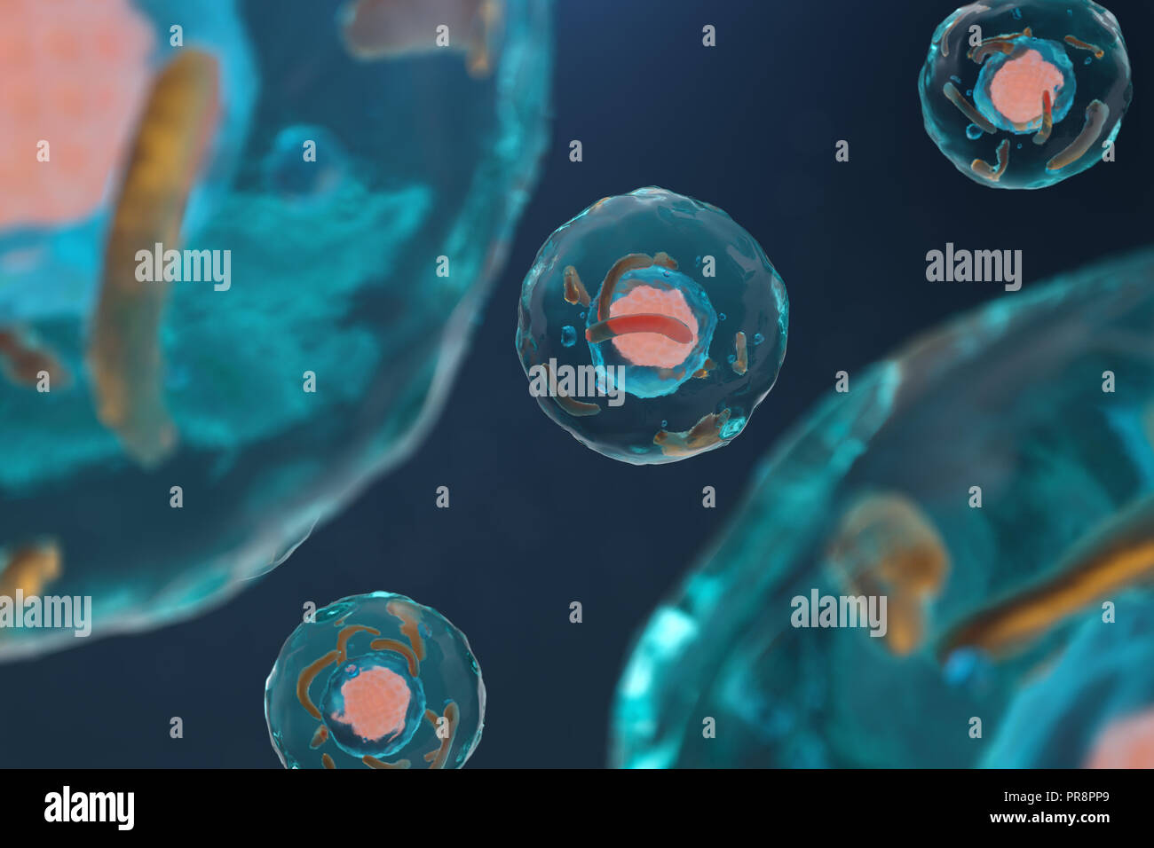 3D illustration cell of a living organism, scientific concept ...