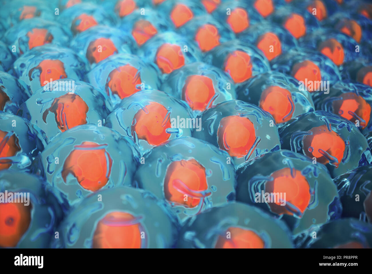 3D Illustration human cells. Cell colony. Concept of science and ...