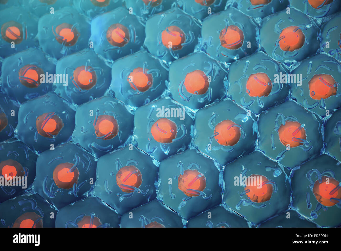 Human cells. Cell colony. Concept of science and medicine. Regeneration ...