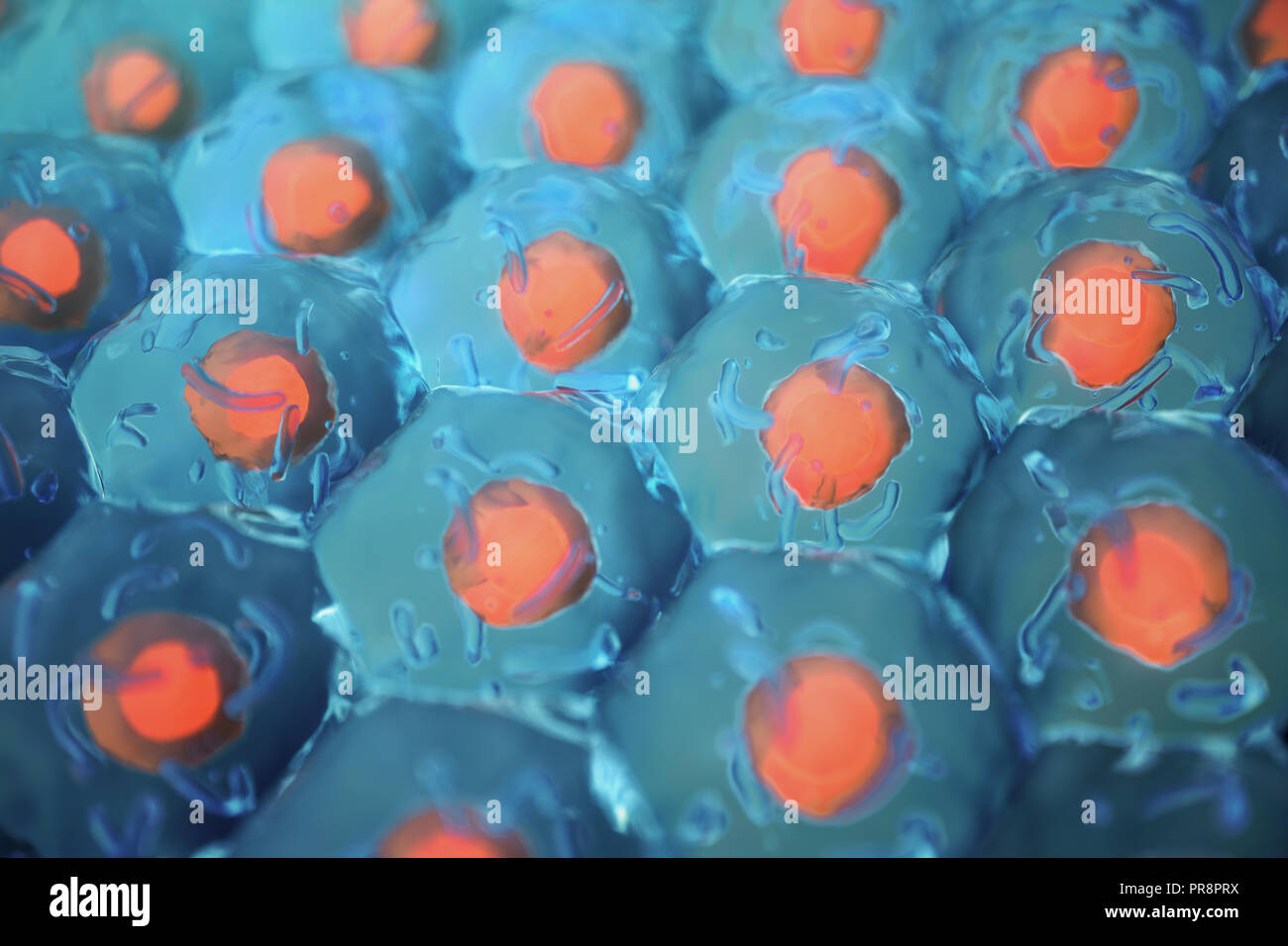 Human cells. Cell colony. Concept of science and medicine. Regeneration ...