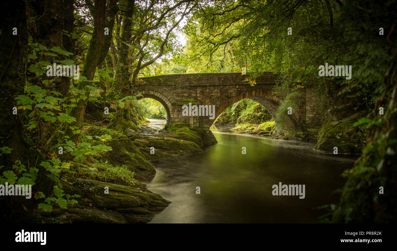 Devon river bridge trees hi-res stock photography and images - Alamy