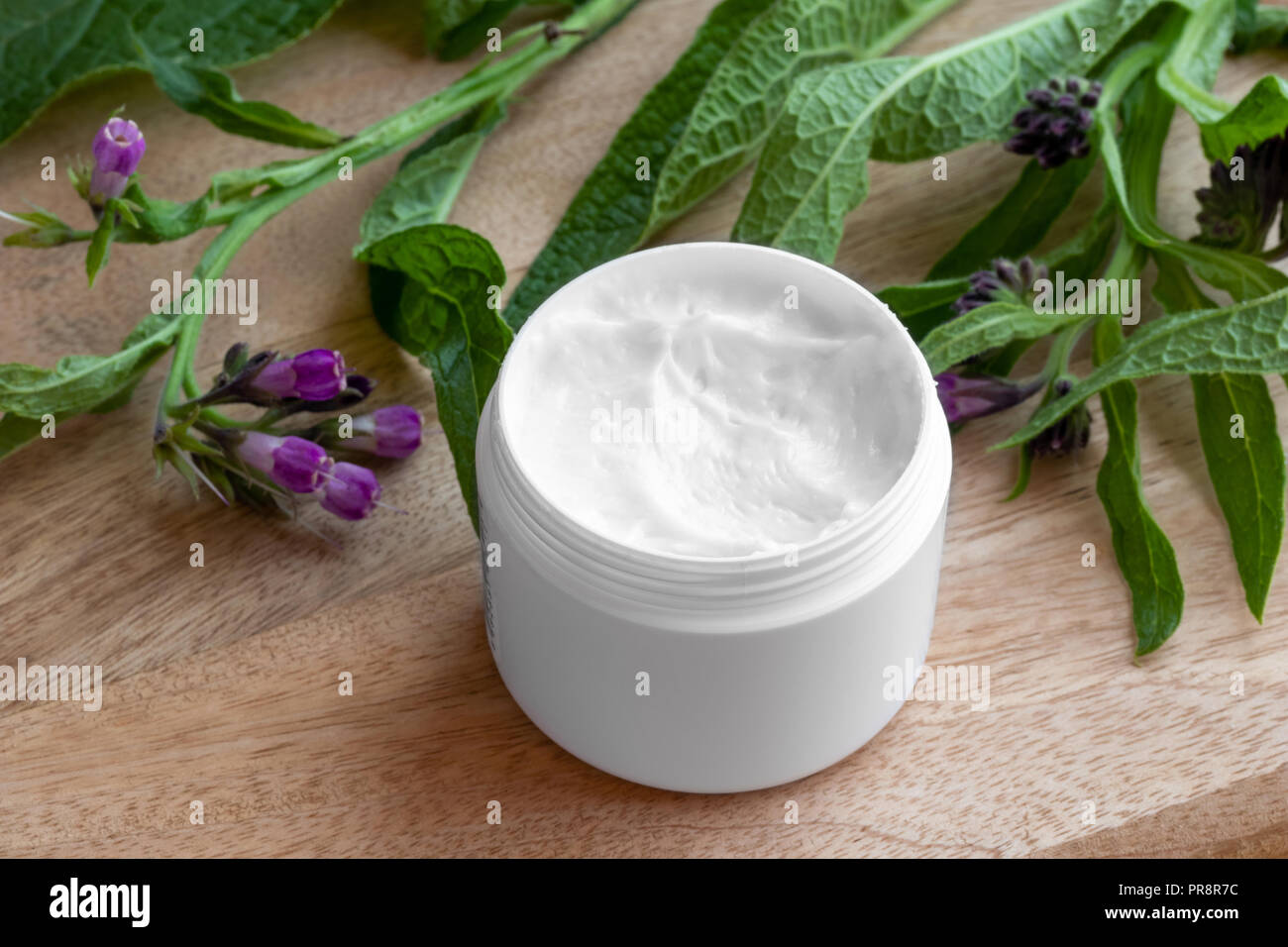 Comfrey cream with fresh blooming symphytum officinale plant Stock ...