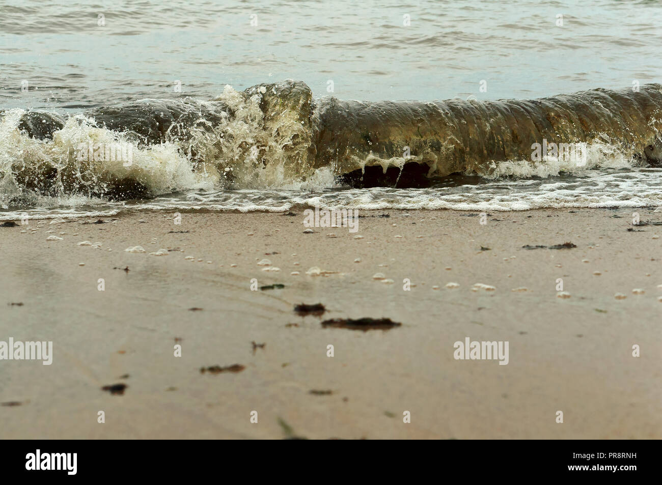 dirty wave of the sea, contamination of marine waters Stock Photo - Alamy