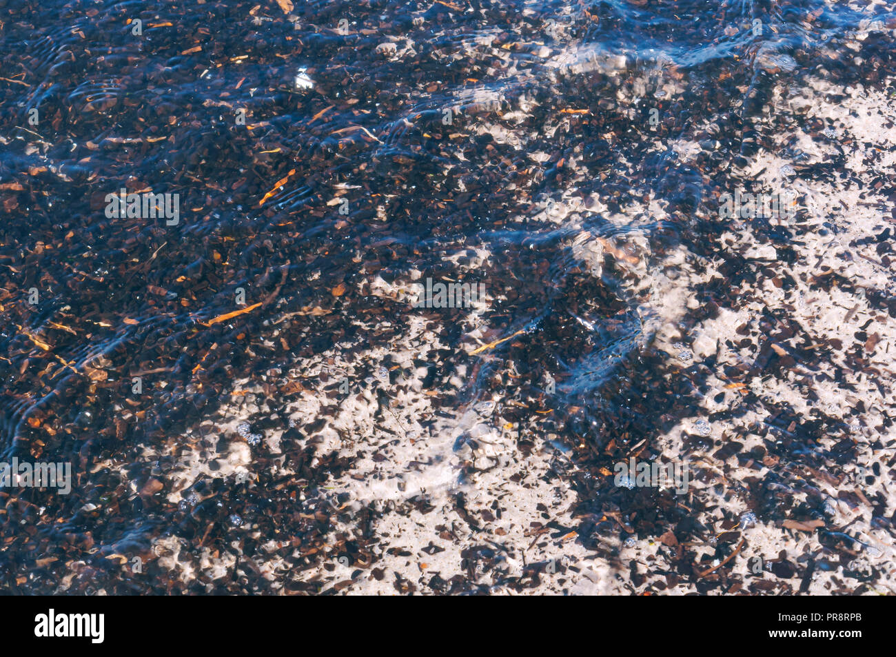 black garbage under water, the remains of wood in the sea water Stock ...