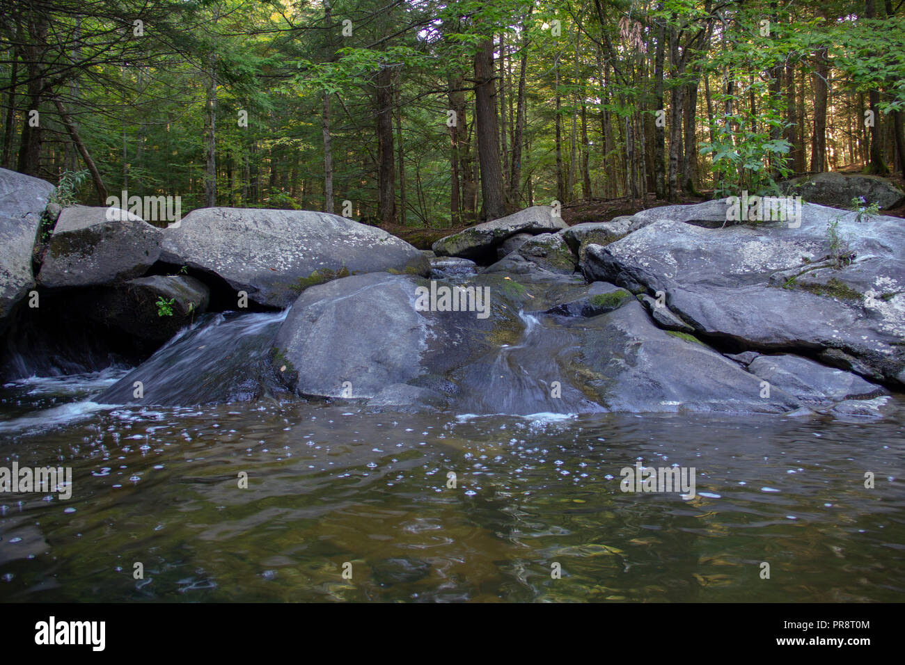 A nice hike in the woods Stock Photo - Alamy