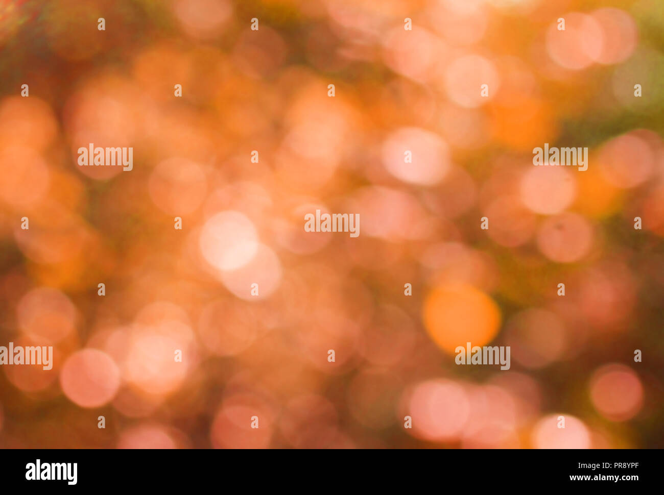 Autumn bokeh backround Stock Photo - Alamy