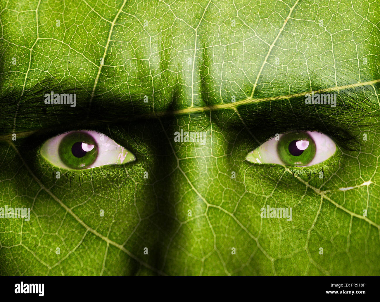 Human face leaf hi-res stock photography and images - Alamy