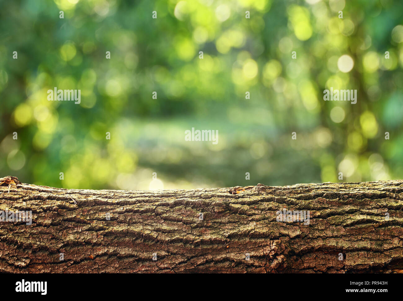 Wooden log background for product display montages Stock Photo - Alamy