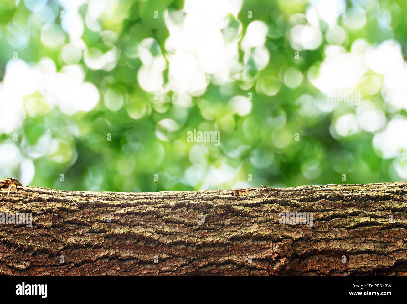 Wooden log background for product display montages Stock Photo - Alamy