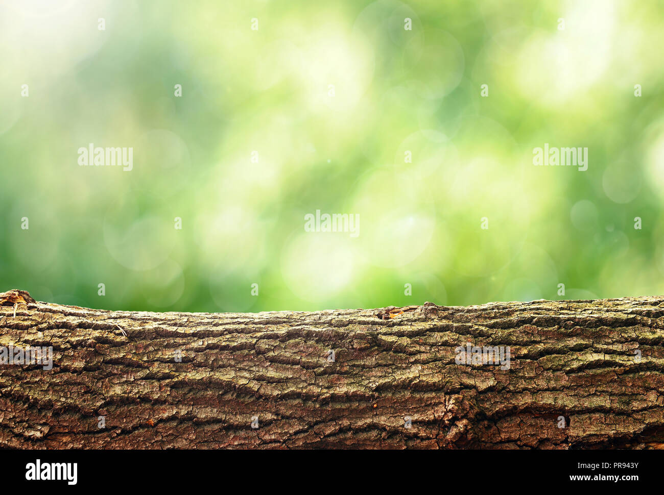 Wooden log background for product display montages Stock Photo - Alamy