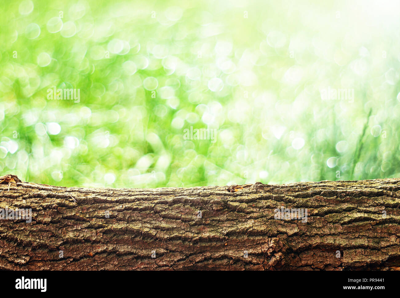 Wooden log background for product display montages Stock Photo - Alamy