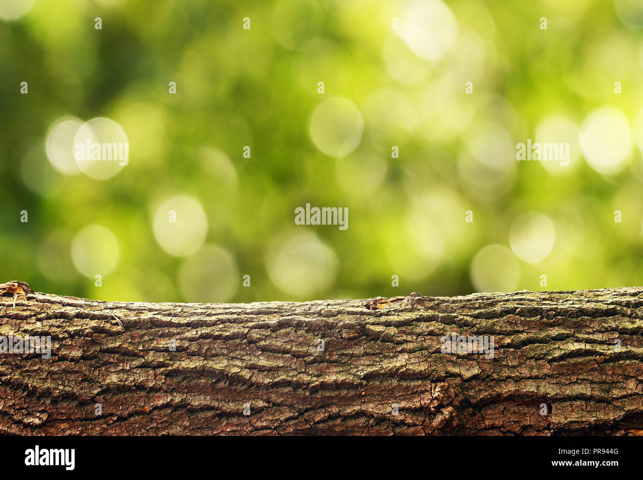 Wooden log background for product display montages Stock Photo - Alamy