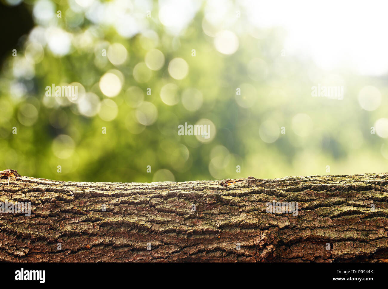 Wooden log background for product display montages Stock Photo - Alamy