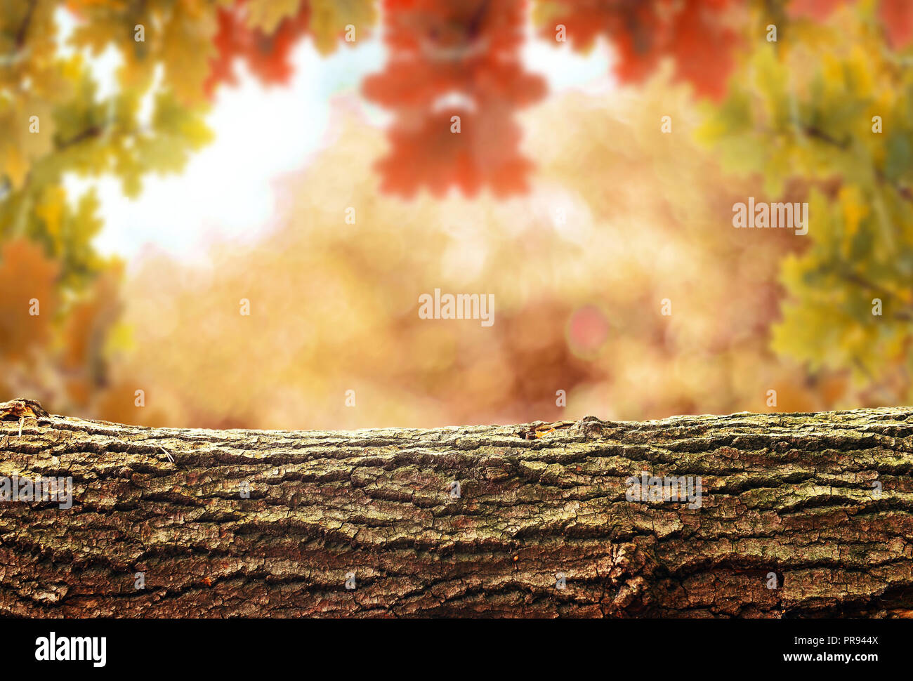 Wooden log background for product display montages Stock Photo - Alamy