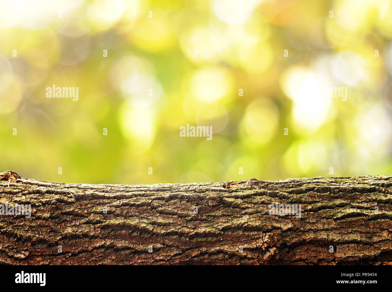 Wooden log background for product display montages Stock Photo - Alamy